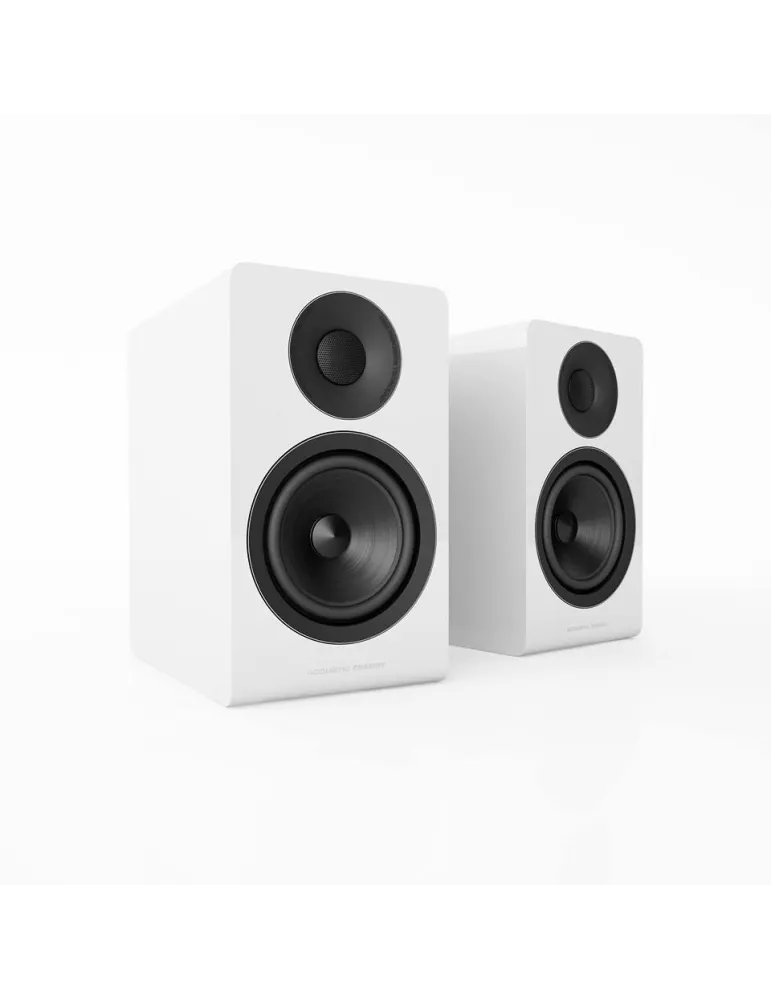 Acoustic Energy AE300 lentyninės kolonėlės